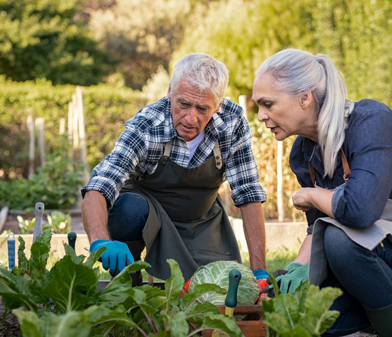 Canada's Fresh Spring Food Guide | Herbal Magic Blog